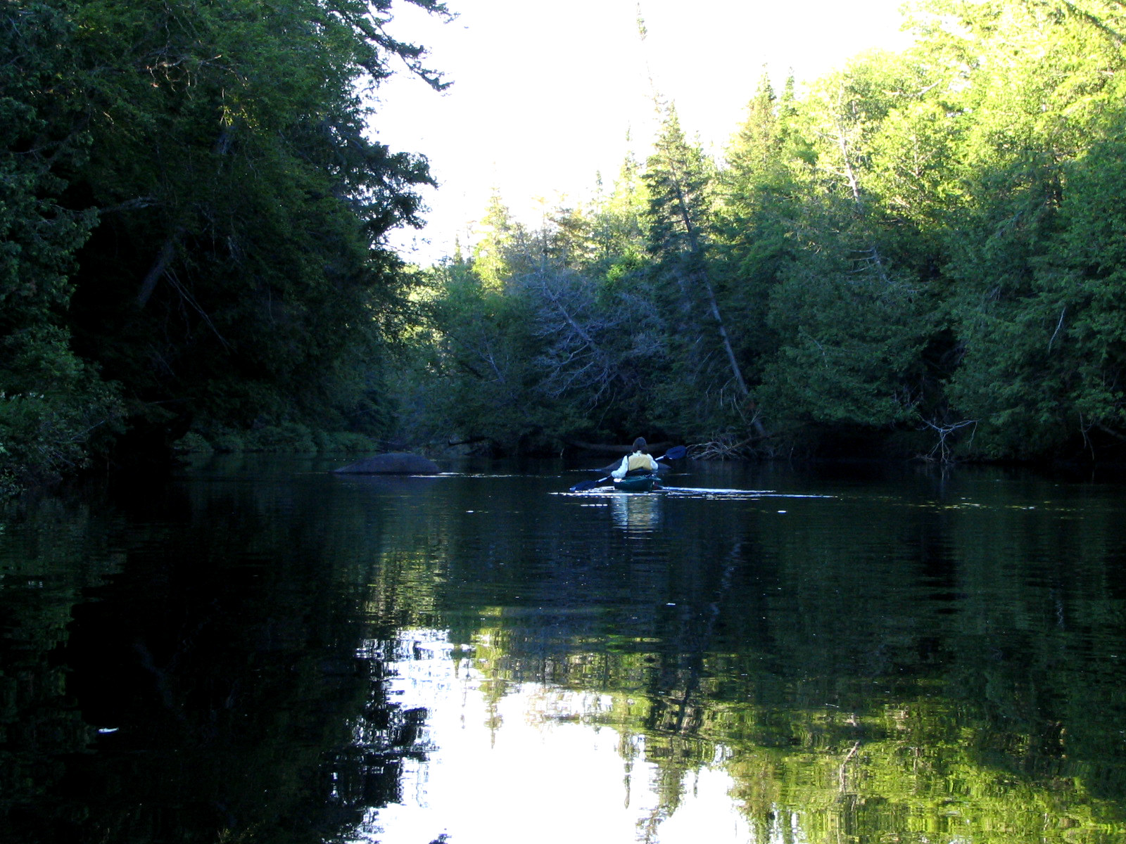 Newcomb, NY: Embrace the Serenity of the Adirondacks - theTrajet